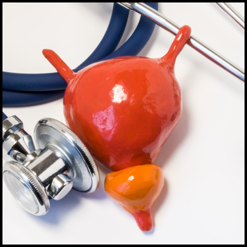 Importance of Hydration for Urinary Health | Healix Hospitals